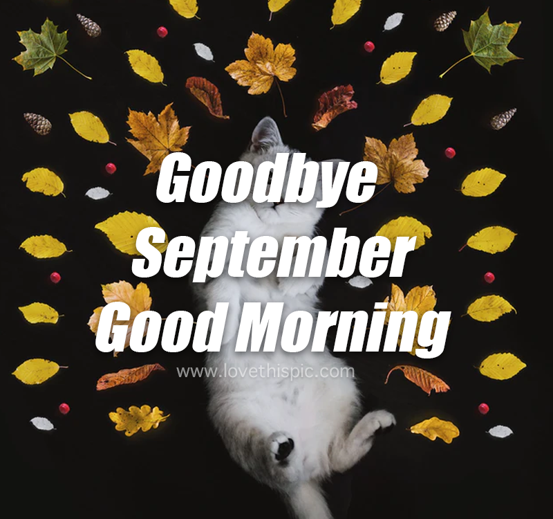 Goodbye September Good Morning Quote Pictures, Photos, and Images for ...