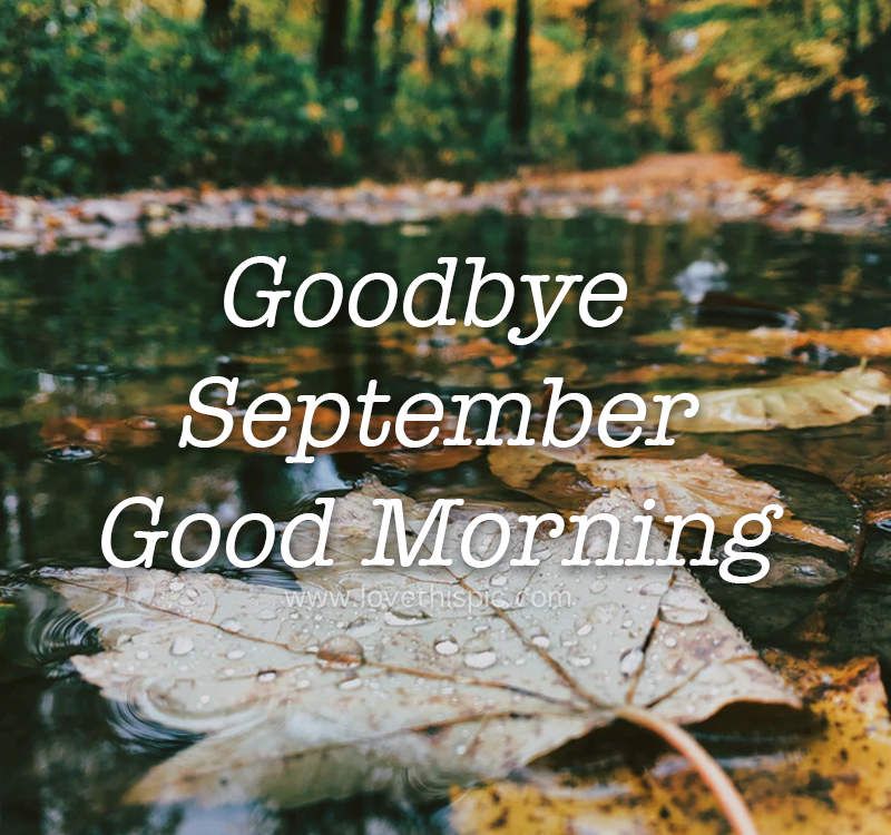 Wet Leaf Goodbye September Good Morning Quote Pictures, Photos, and ...