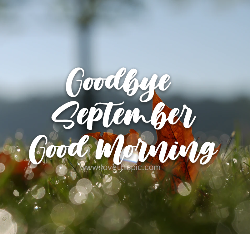 Autumn Bokeh Goodbye September Quote Pictures, Photos, and Images for ...
