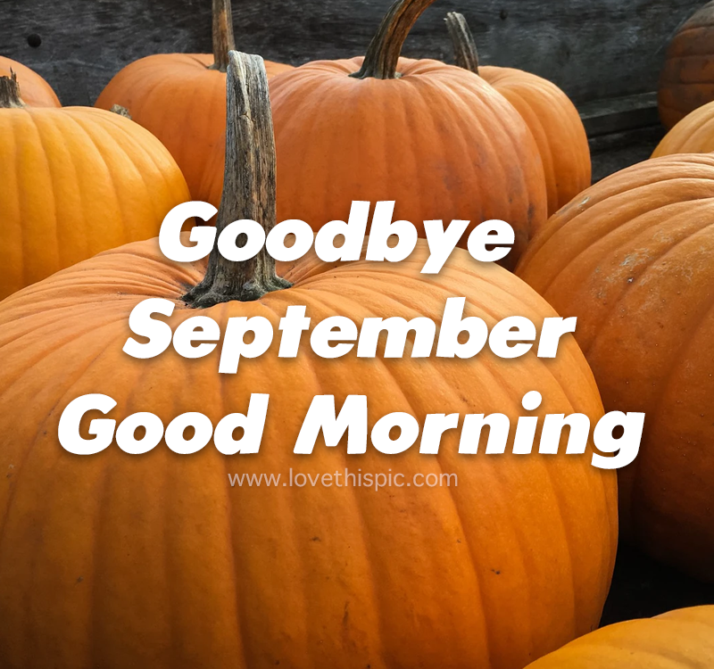 Pumpkin Lot Goodbye September Good Morning Quote Pictures, Photos, and ...
