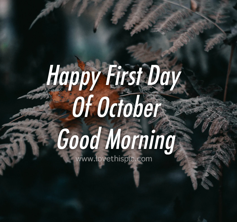 Green Fern Happy First Day Of October Good Morning Quote Pictures ...