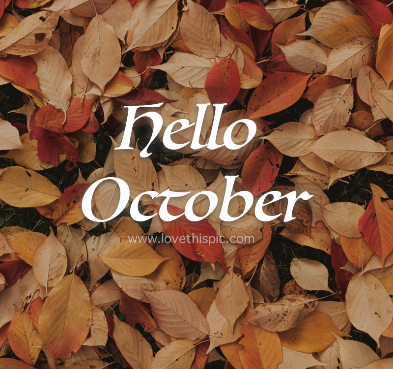 Cute Sayings With Hello October