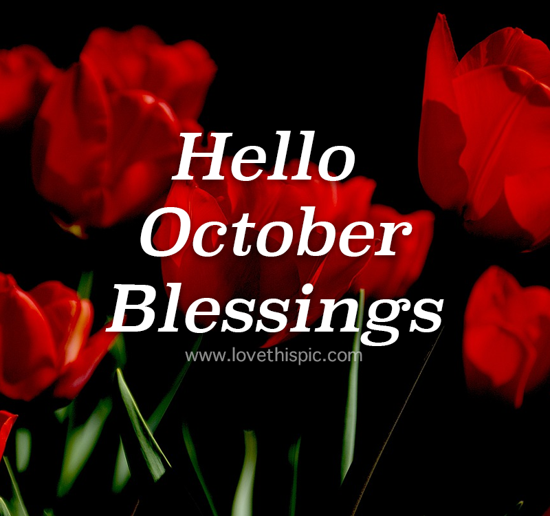 Red Tulip Hello October Blessings Quote Pictures, Photos, and Images ...