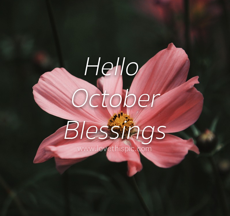 Pink Composites Hello October Blessings Pictures, Photos, and Images ...