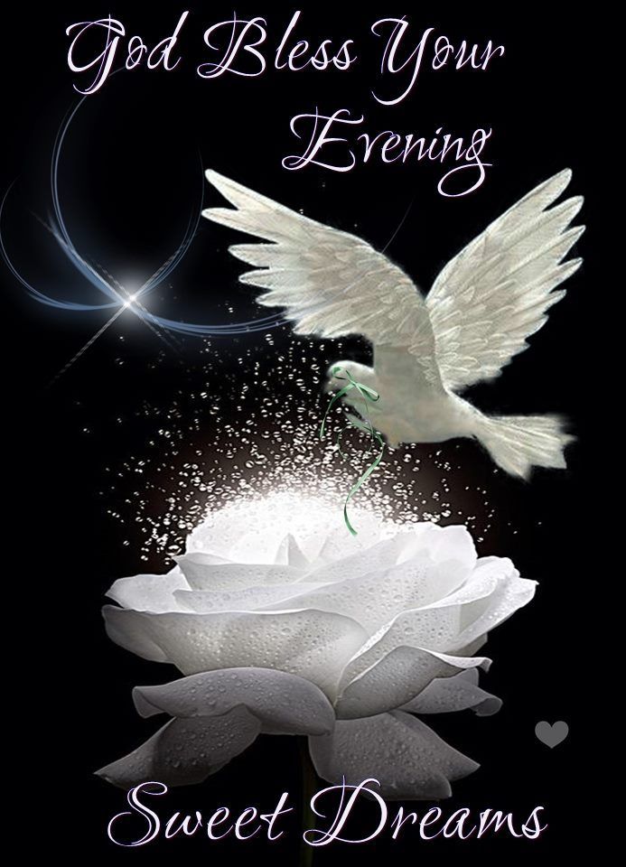 God Bless Your Evening Pictures, Photos, and Images for Facebook ...
