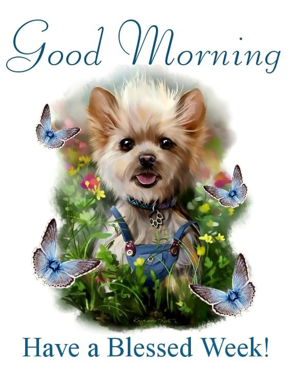 Happy Dog Have A Blessed Week Quote Pictures, Photos, and Images for ...