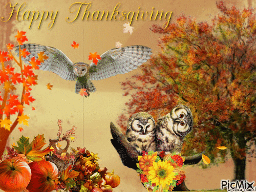 Thanksgiving Owls Pictures, Photos, and Images for Facebook, Tumblr ...