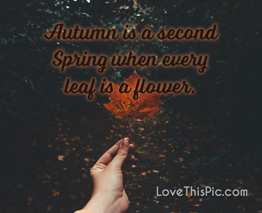 Autumn Is A Second Spring Pictures, Photos, and Images for Facebook ...
