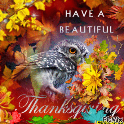 Beautiful Thanksgiving Pictures, Photos, and Images for Facebook ...