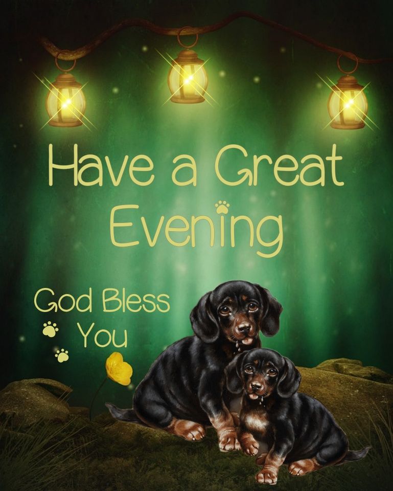 Little Doggies Great Evening Quote Pictures, Photos, and Images for ...