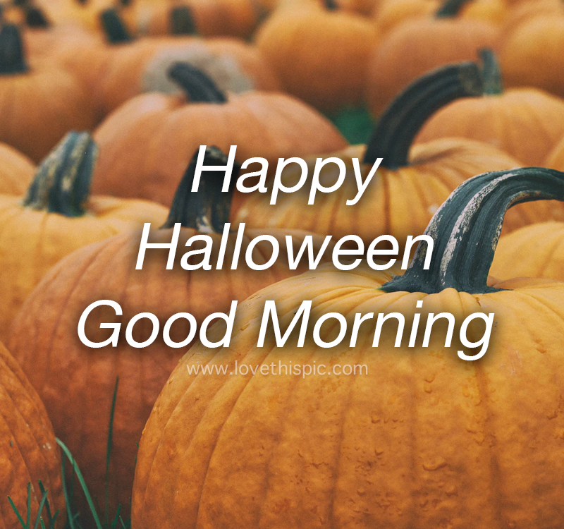 Orange Pumpkin Good Morning Happy Halloween Quote Pictures, Photos, and ...