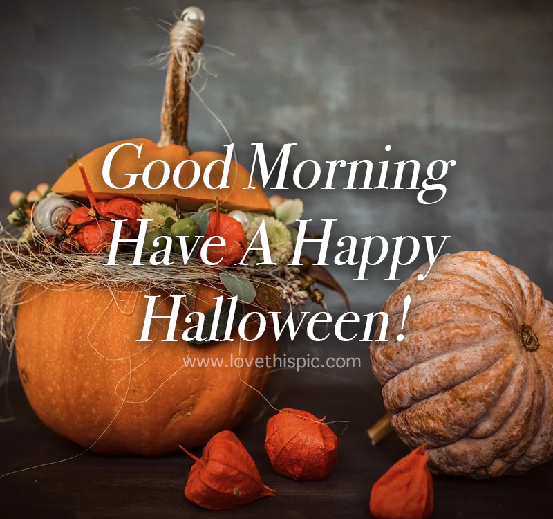 Autumn Pumpkins - Good Morning, Have A Happy Halloween Pictures, Photos ...