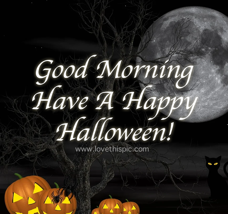 Spooky Night - Good Morning Have A Happy Halloween Pictures, Photos ...