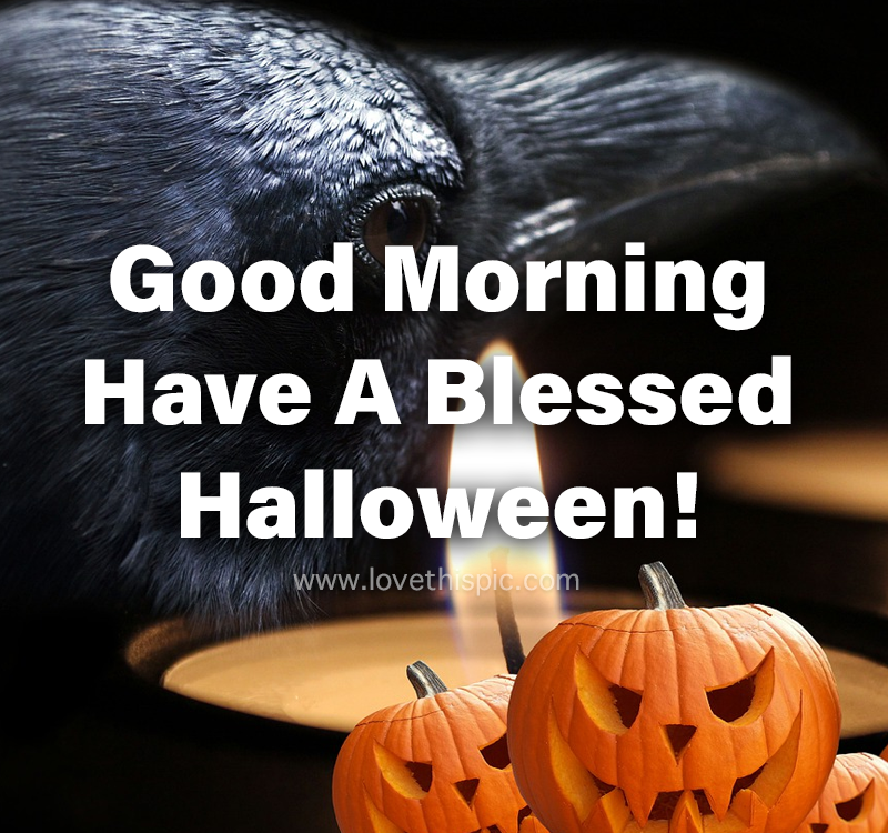 Crow Good Morning Blessed Halloween Quote Pictures, Photos, and Images ...
