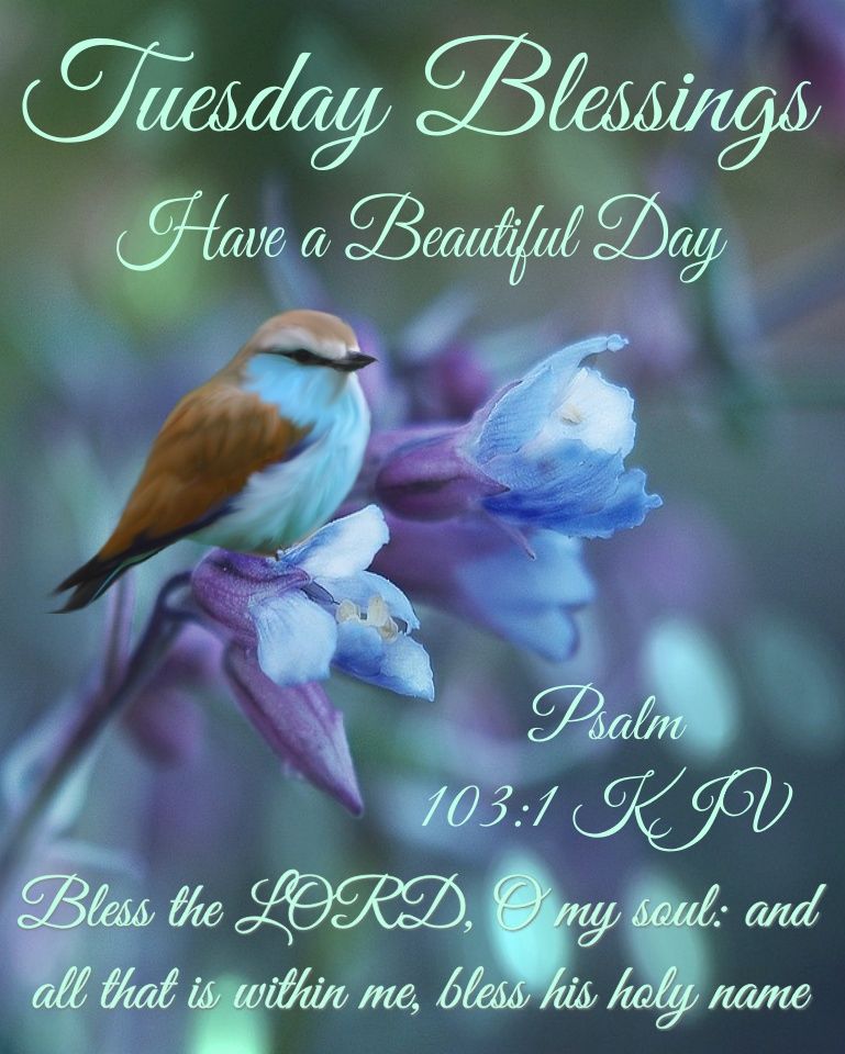 Bless The Lord Tuesday Blessings Quote Pictures, Photos, and Images for ...