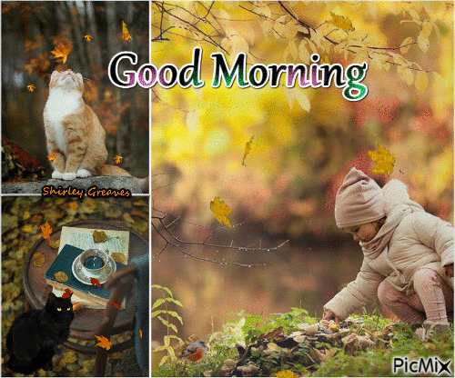 Fall Collage Good Morning Gif Pictures, Photos, and Images for Facebook ...