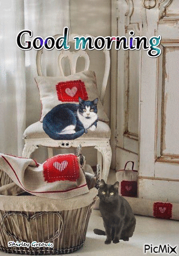 Resting Cats Good Morning Gif Pictures, Photos, and Images for Facebook ...