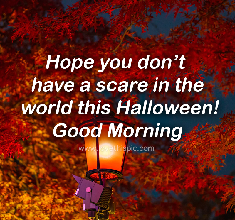 Scary Morning Quotes