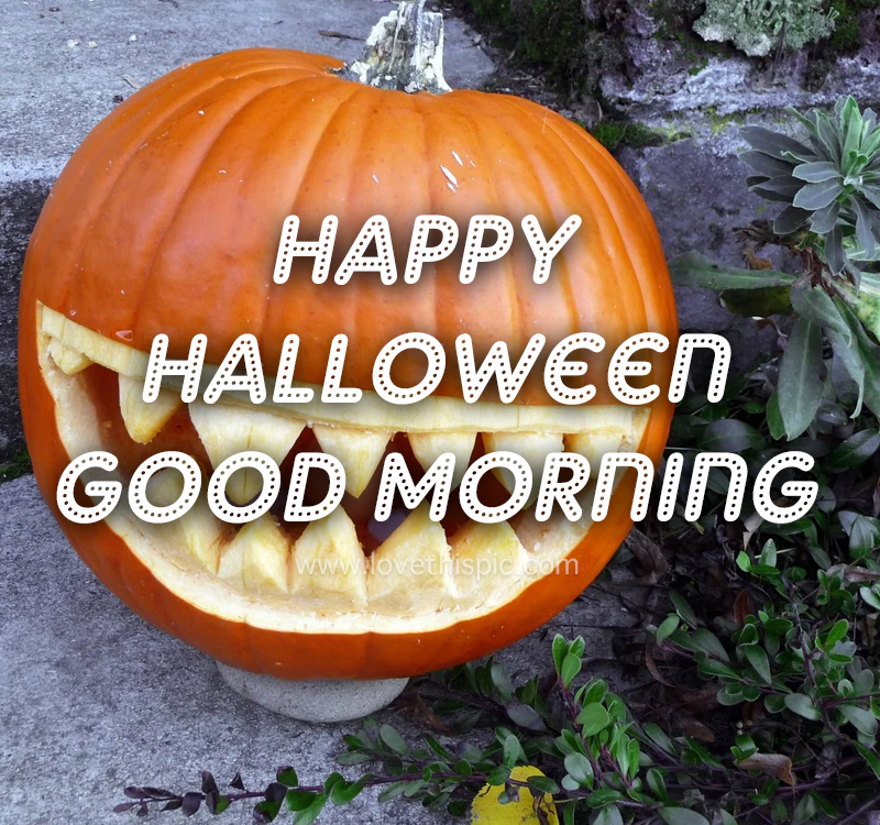 Grinning Jack O Lantern Good Morning Quote Pictures, Photos, and Images ...