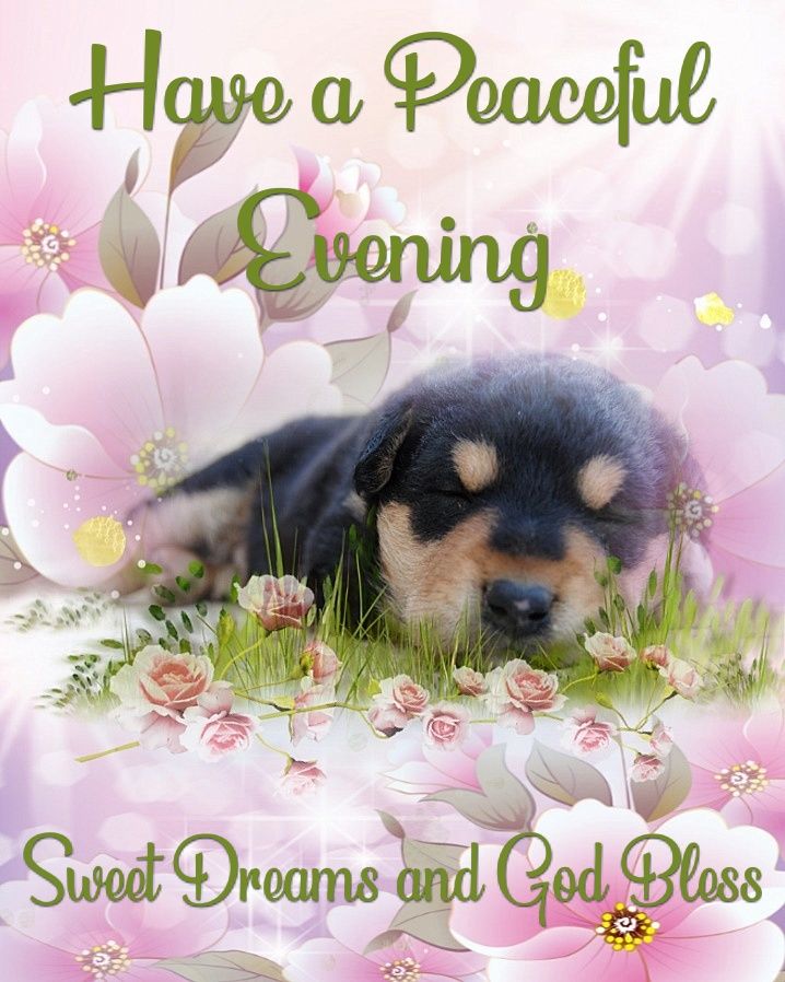 Peaceful Evening Pictures, Photos, and Images for Facebook, Tumblr ...