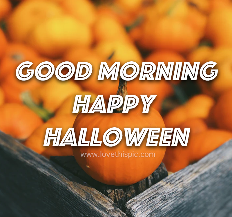Pumpkin On Box Good Morning Happy Halloween QUote Pictures, Photos, and ...