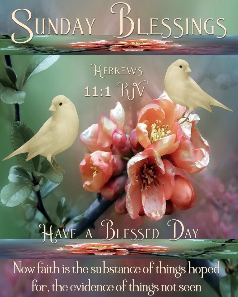 Faith Is The Substance Of Things Hopes For - Sunday Blessings Pictures ...