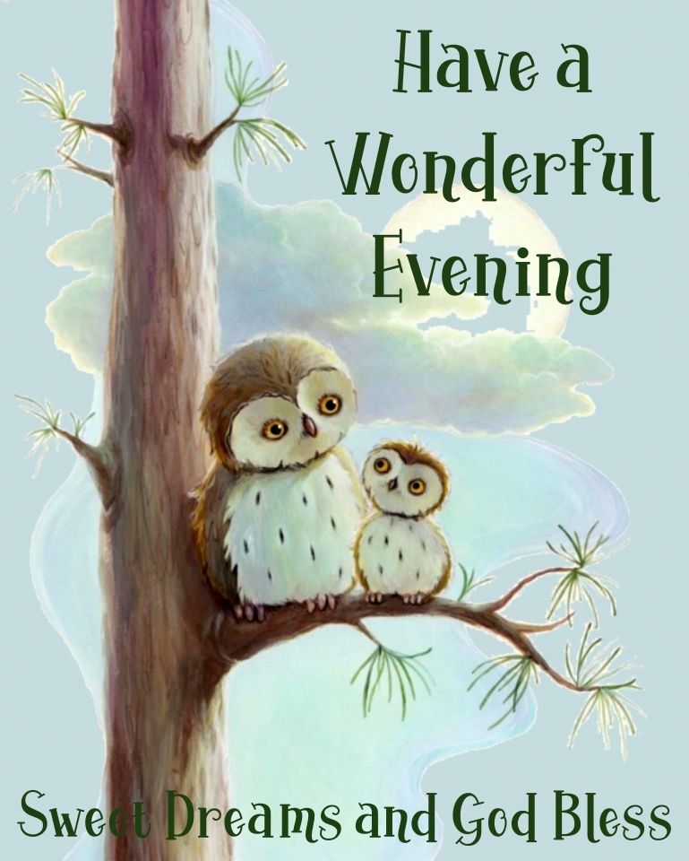 Owl Wonderful Evening Pictures, Photos, and Images for Facebook, Tumblr ...
