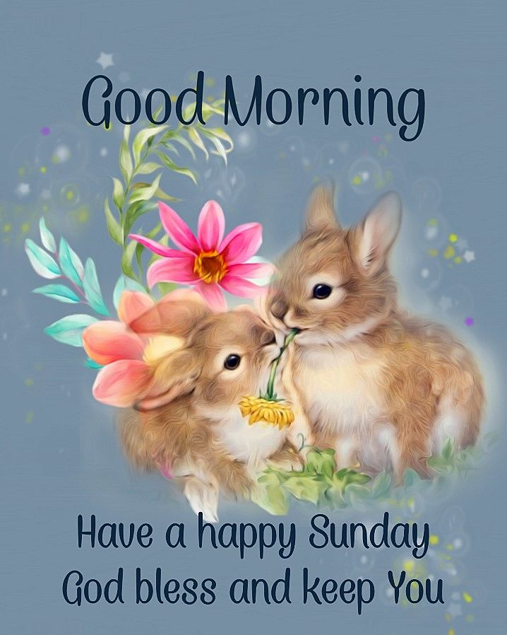Bunny Good Morning, Happy Sunday Pictures, Photos, and Images for ...
