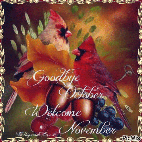 Cardinal Goodbye October Welcome November Pictures, Photos, and Images ...