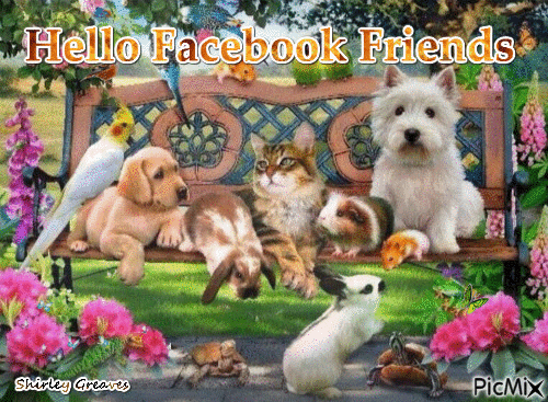 Hello Facebook Friends Gif Pictures, Photos, and Images for Facebook ...