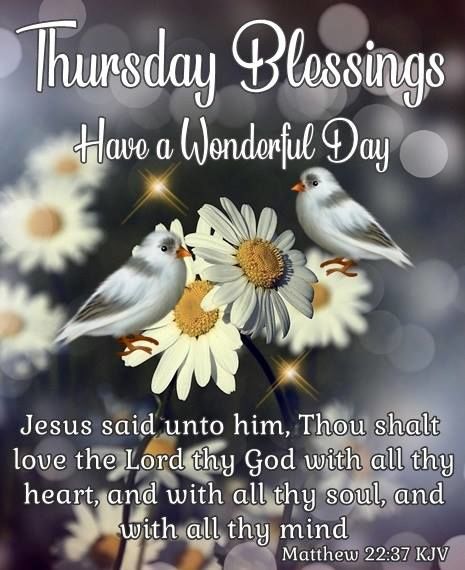 Birds On Daisy - Thursday Blessings Pictures, Photos, and Images for ...