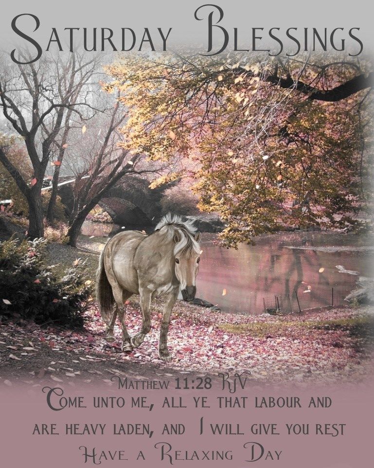 Horse Saturday Blessings Pictures, Photos, and Images for Facebook ...
