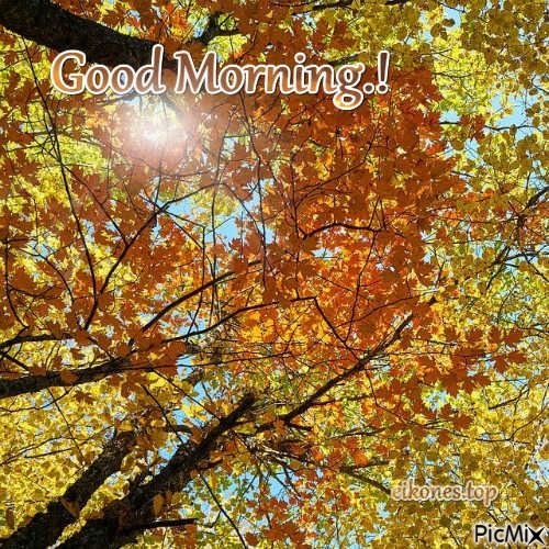 Fall Leaf Good Morning Quote Pictures, Photos, and Images for Facebook ...