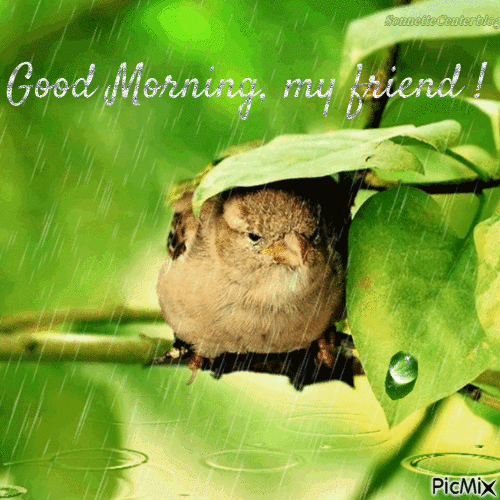 Good Morning My Friend Pictures, Photos, and Images for Facebook ...