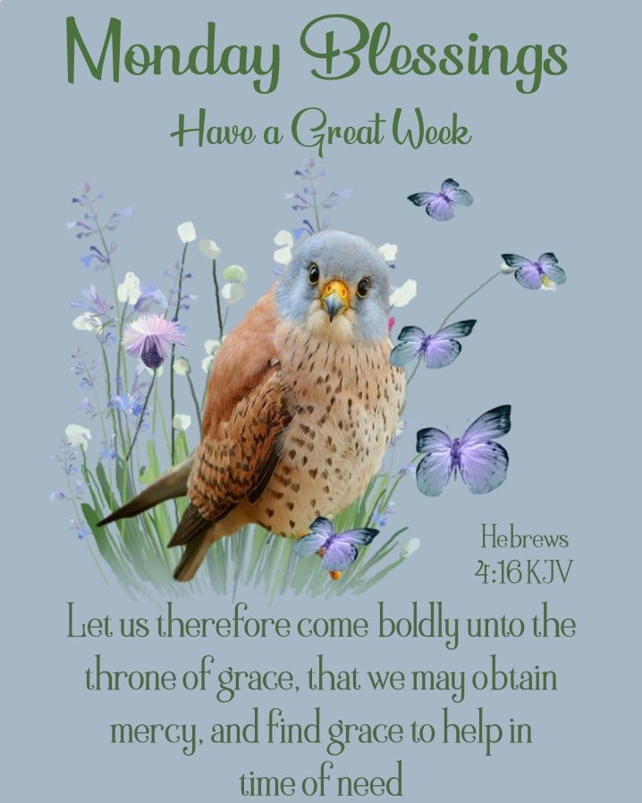 Throne Of Grace Monday Blessings Quote Pictures, Photos, and Images for ...