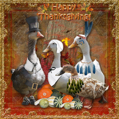 Pilgrim & Indian Ducks - Happy Thanksgiving Gif Pictures, Photos, and ...