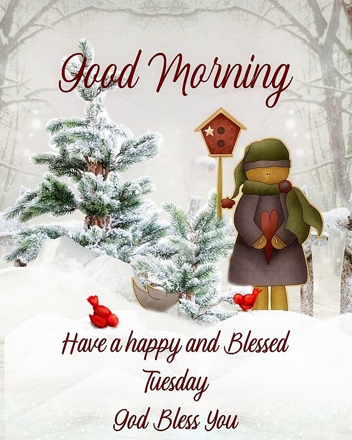 Wintry Good Morning Happy Blessed Tuesday Pictures, Photos, and Images ...