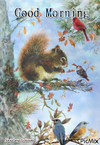 Good Morning Squirrel With Birds Pictures, Photos, and Images for ...