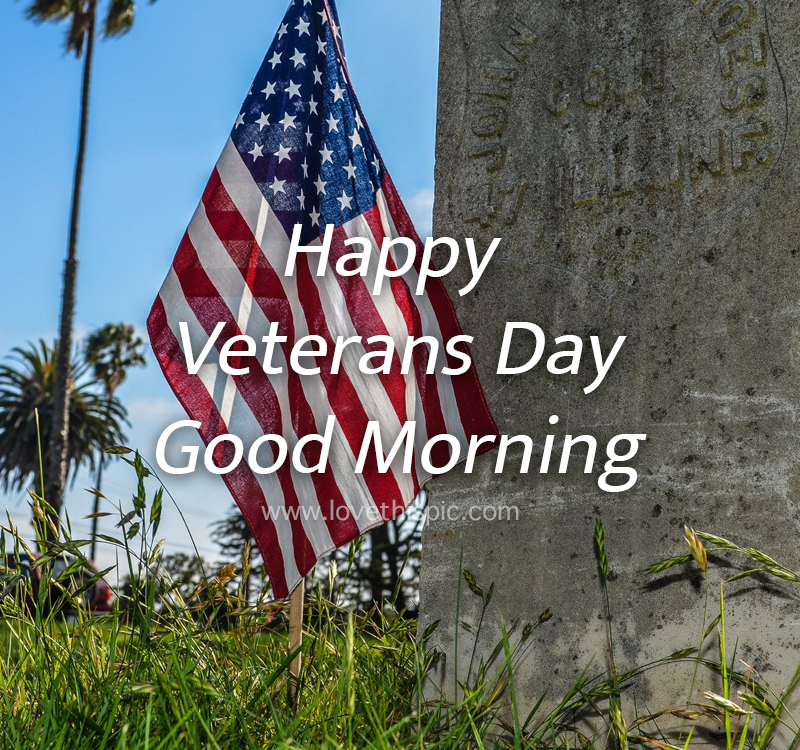 Flag On Grave - Happy Veterans Day, Good Morning Quote Pictures, Photos ...