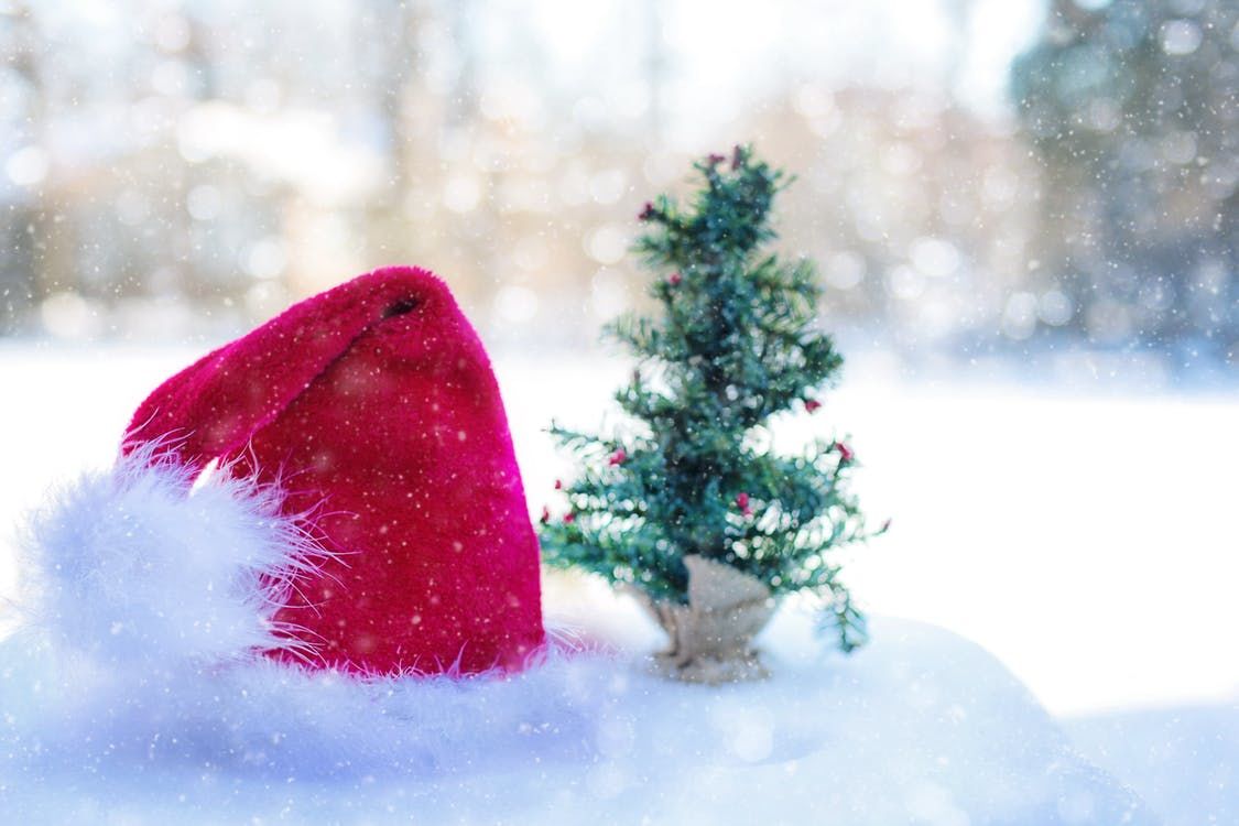 Santa's Hat With Mini Christmas Tree Pictures, Photos, and Images for ...