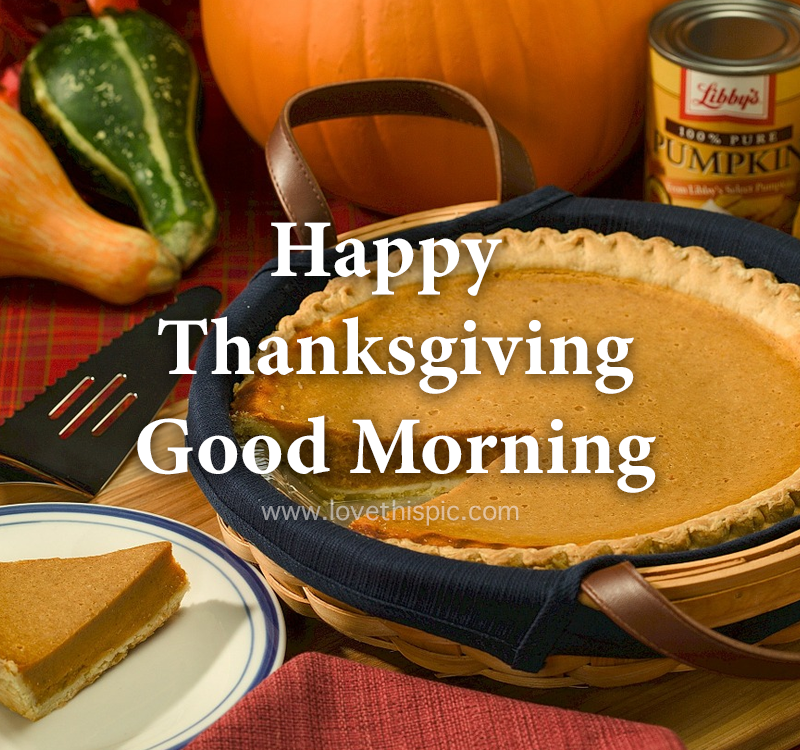 Sweet Pumpkin Pie, Happy Thanksgiving Pictures, Photos, and Images for ...