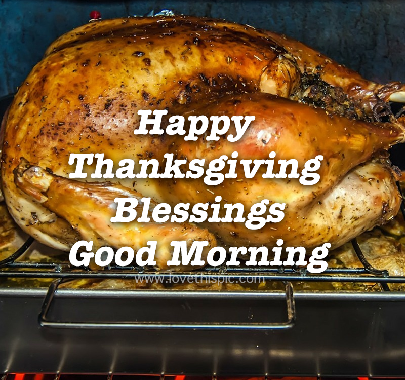 Oven Turkey Happy Thanksgiving Blessings, Good Morning Pictures, Photos ...