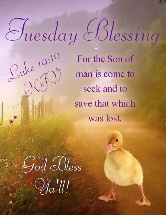 Tuesday Blessing Pictures, Photos, and Images for Facebook, Tumblr ...