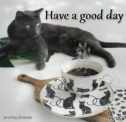 Black Cat, Have A Good Day Pictures, Photos, and Images for Facebook ...