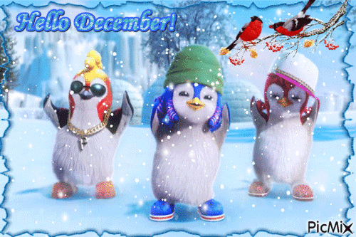 Dancing Penguins - Hello December Pictures, Photos, and Images for ...