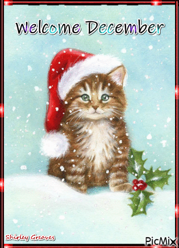 Welcome December Kitty Gif Pictures, Photos, and Images for Facebook ...