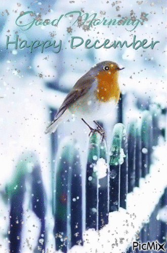 Good Morning Happy December Pictures, Photos, and Images for Facebook ...