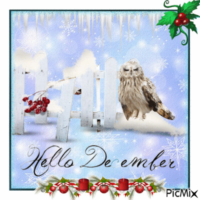 Hello December Winter Owl Animated Quote Pictures, Photos, and Images ...