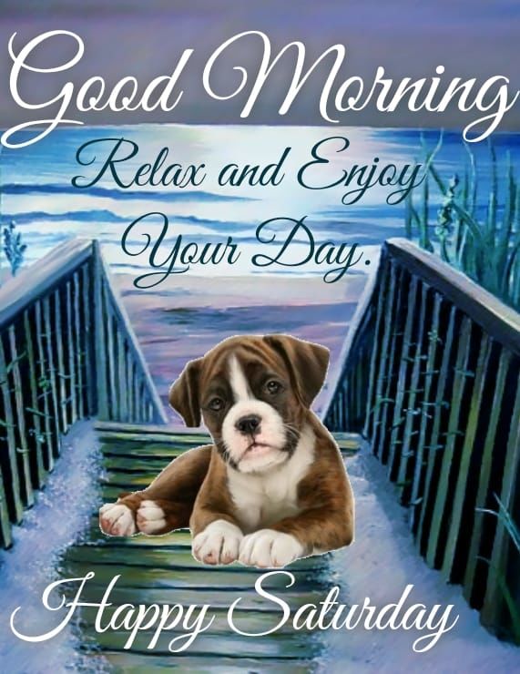 Relaxing Dog Good Morning Happy Saturday Pictures, Photos, and Images ...