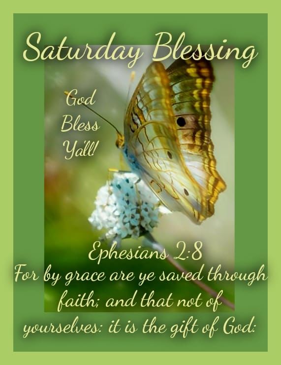 Saturday Blessing Butterfly Pictures, Photos, and Images for Facebook ...